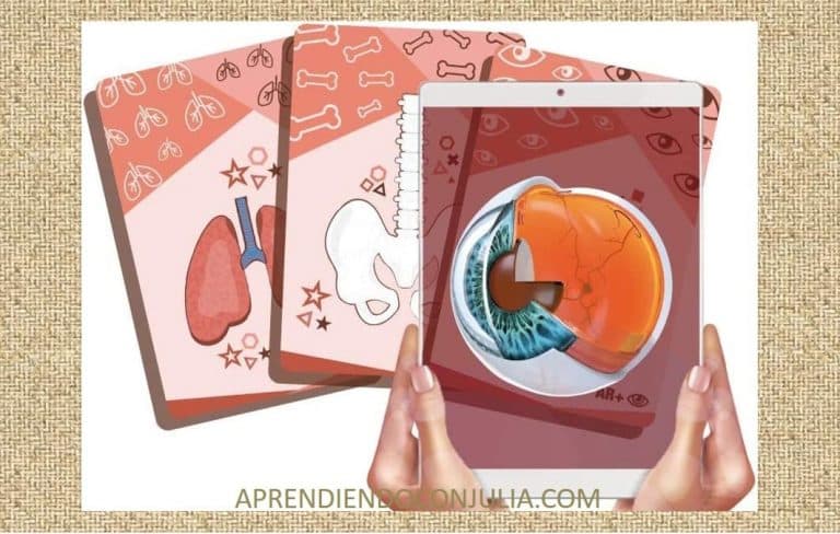 Juegos y realidad aumentada para aprender sobre el cuerpo humano ...
